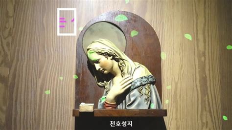 Daum 카페