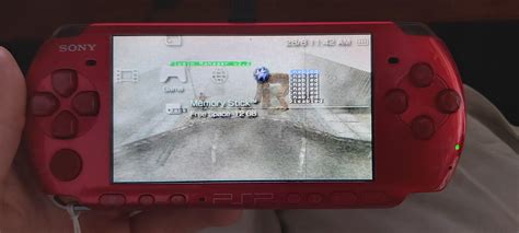 Psp Plugins Not Showing Up At Christy Sample Blog