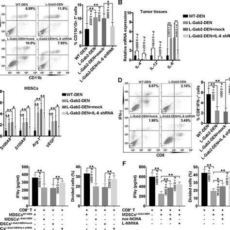 Role Of Il 6 Knockdown On Mdscs Activation In L Gab2 Mice A The