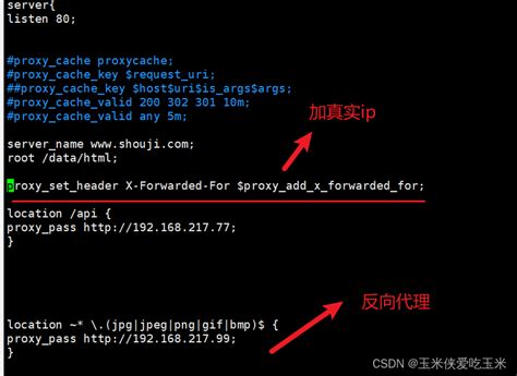 Nginx 反向代理 与缓存功能反向代理 缓存 Csdn博客