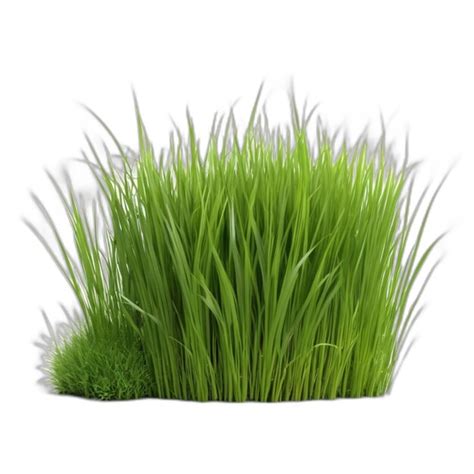 Premium Psd Grass Psd On A White Background