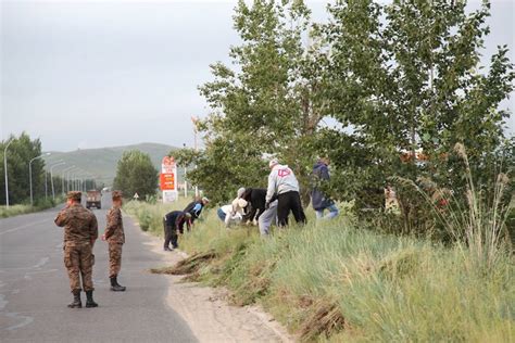 ШАРИЛЖ УСТГАХ АЖИЛ ӨРНӨЖ БАЙНА