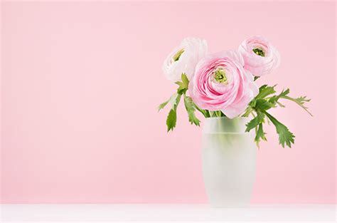 부드러운 밝은 흰색 나무 테이블에 현대적인 투명 꽃병에 달콤한 장미 꽃다발과 절묘한 파스텔 핑크 웨딩 홈 장식 복사 공간
