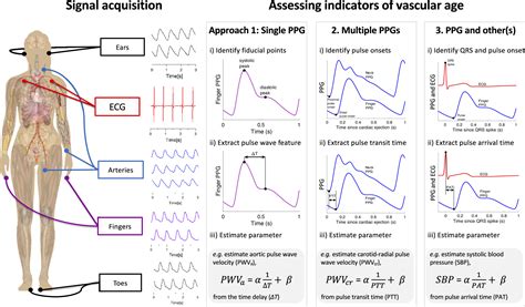 Workshop MIMIC WFDB Tutorials
