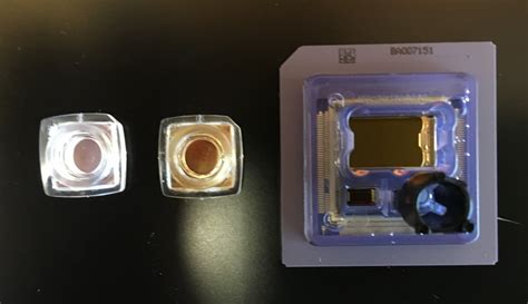 Pacbio Genomics Resource Center