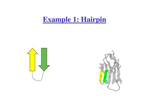 Ppt Protein Folding Recursive Domains In Proteins Powerpoint