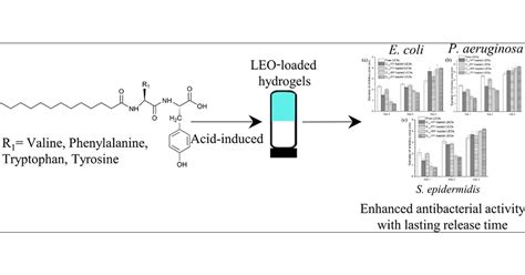 Sequence Selected C13 Dipeptide Self Assembled Hydrogels For