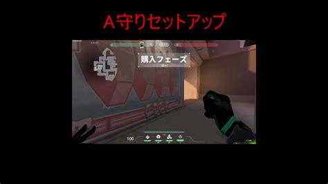 【サンセット】ヴァイパーaセットアップ② Shorts Youtube