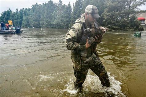 5 Ways To Help Dogs Affected By Hurricane Harvey Even If You Dont Live