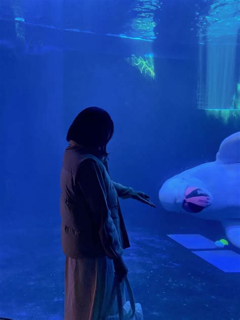 여수 여행코스 가볼만한곳 아쿠아플라넷 여수 뮤지엄오브컬러 네이버 블로그