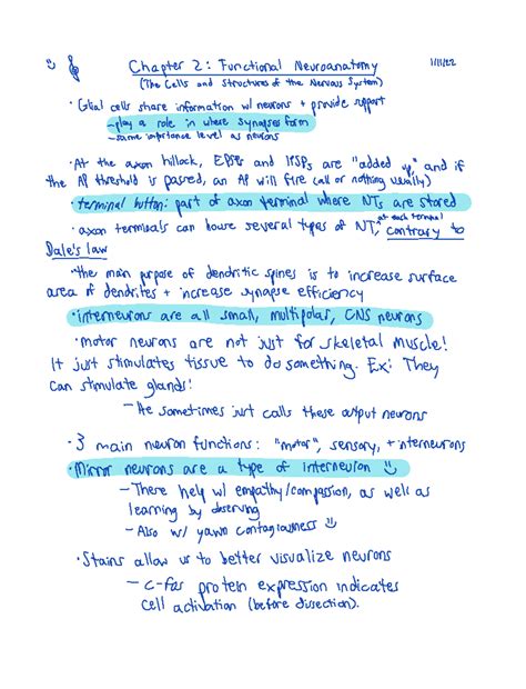 Psyc Chapter Class Notes U Chapter Functional Neuroanatomy
