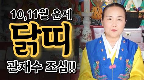 1011월 닭띠운세 종합운세 나이대별운세 띠별운세 사주 신점 금전운 사업운 재물복 직장운 이동수 연애운 건강운 용한점집