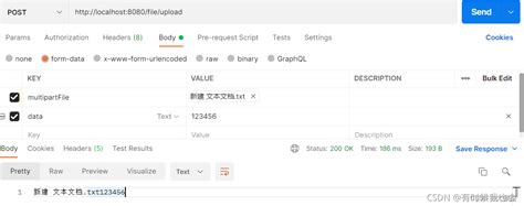 Postman中几个body请求格式区别及使用说明 postman requestbody CSDN博客