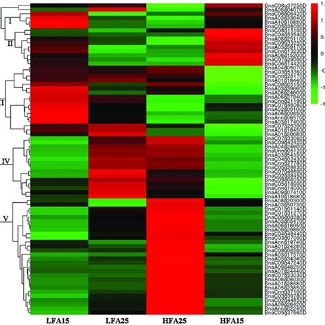 Hierarchical Clustering Analysis Of The Differentially Expressed Genes Download Scientific