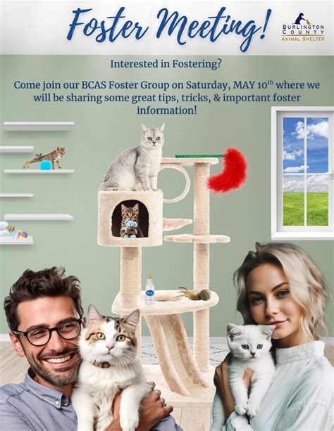 🐾🐱🤝attention All Burlington County Animal Shelter Facebook