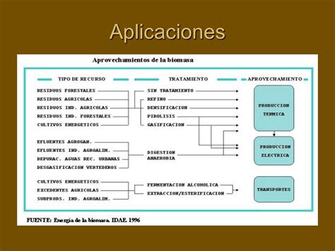 Principios De La Biomasa