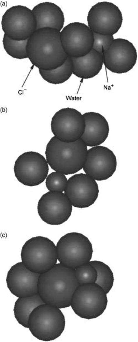 Snapshots Of Solvation Shells Of Na And Cl − Ions As They