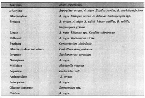 Enzymes Amylase Protease Lipase Production Biology Notes Online