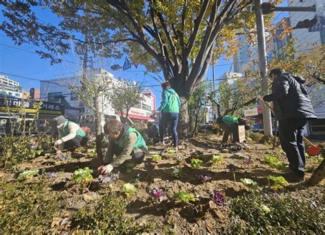 부산동구 수정2동 겨울 초화 식재 및 환경정비 실시경인투데이뉴스
