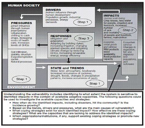 Vulnerability Assessment Through The Dpsir Framework A Step By Step Download Scientific
