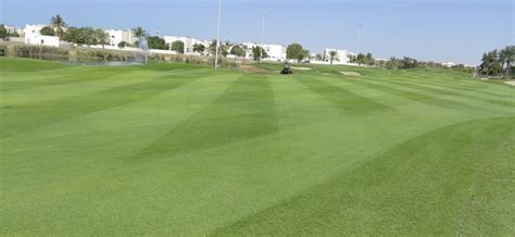 Asem Ebraheem On Linkedin We Are Always Ready For Tournaments Winter Cup Enjoy Our Customers