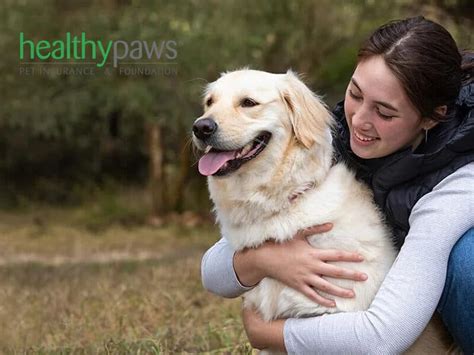 Healthy Paws Pet Insurance Review 2022 Protect My Paws