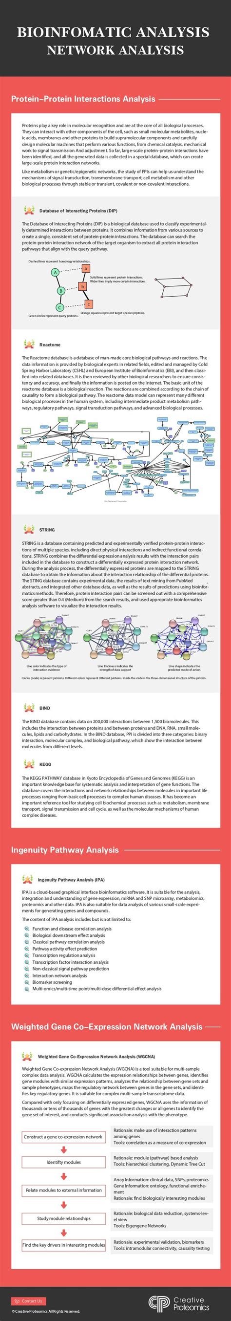 Protein Network Analysis Pdf