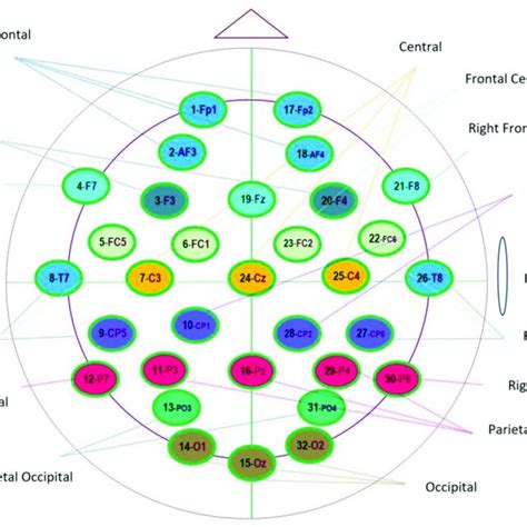 Flow Chart Of The Overall Method Download Scientific Diagram