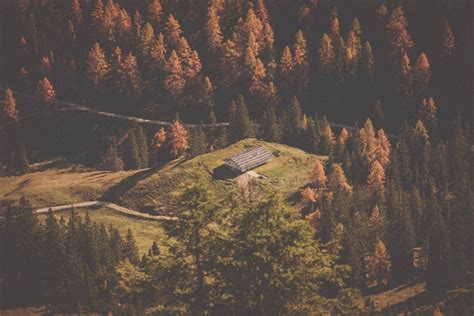 Free Images Landscape Tree Nature Forest Wilderness Mountain