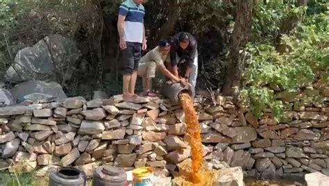 10 लीटर अवैध देशी शराब जब्त और 525 लीटर वॉश को किया नष्ट Udaipurwale