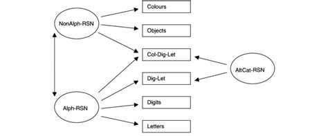 Measure Model Showing Relationships Among Different Rapid Naming Tasks
