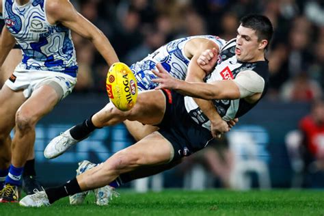 North Melbourne Vs Collingwood Prediction Tips And Odds Afl Round 14