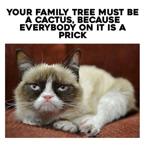 Upset Cat Meme