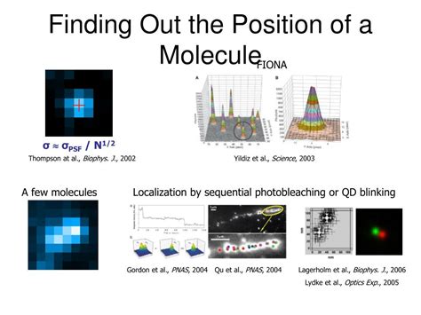Ppt Stochastic Optical Reconstruction Microscopy Storm Powerpoint Presentation Id5314797