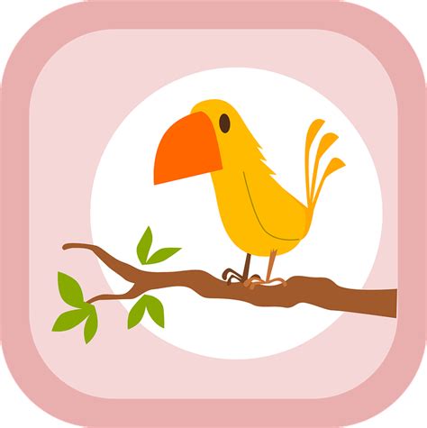 Gambar Burung Di Pohon Kartun Gambar Burung