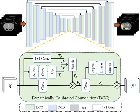 Dynamic U Net Adaptively Calibrate Features For Abdominal Multi Organ