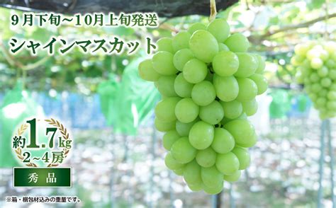 【令和5年産先行予約】 Ja シャインマスカット 約17kg 2房～4房 《令和5年9月下旬～10月上旬》 山形県 南陽市 715