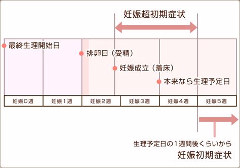 妊娠の可能性を感じたら？妊娠超初期症状はどんな症状？ Famimo