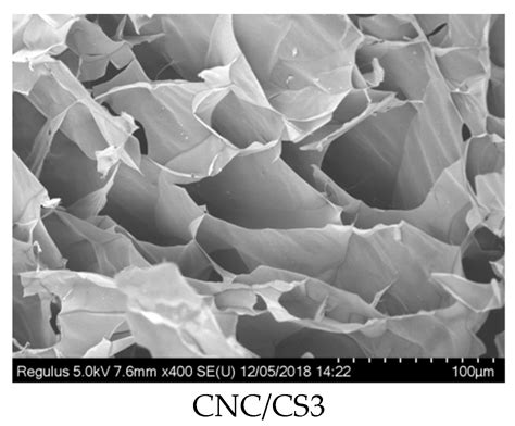 Fabrication Of Cellulose Nanocrystalchitosan Hydrogel For Controlled Drug Release
