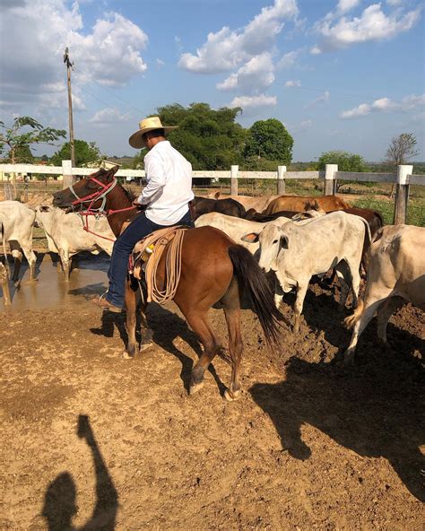 Erick Castro Eerickcastro • Instagram Photos And Videos