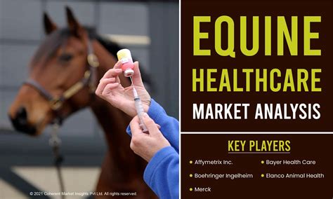 Equine Healthcare Market Detailed In Current And Future Growth Report