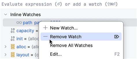 Examine Suspended Program RustRover Documentation