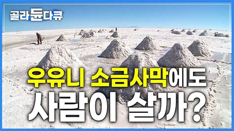 지구상 가장 지독한 자연 환경에서 어떻게 살아남았을까ㅣ우유니 소금사막에도 사람이 살까ㅣ태고의 땅 알티플라노ㅣ수면 다큐ㅣ다큐