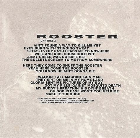 Alice In Chains Rooster Single Album 1993