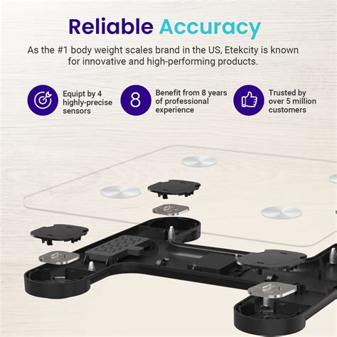 Buy Etekcity Scales For Body Weight Bathroom Digital Weight And Body