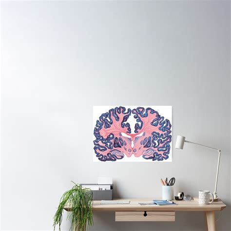 Gyri And Swirls Of Human Brain Poster For Sale By Heatherbondi