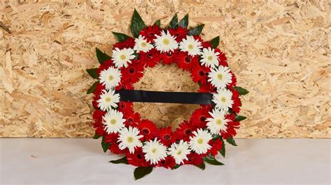 גלגל אבל משתלת אהרוני Wolt