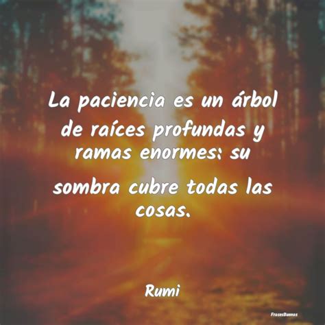 Frases De Paciencia Frasesbuenas