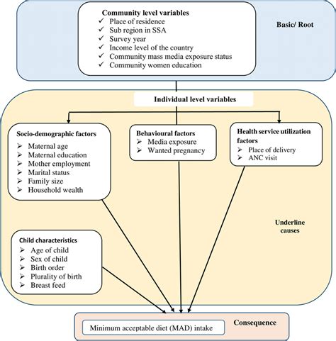 Conceptual Framework Of Factors Associated With Minimum Acceptable Diet Download Scientific