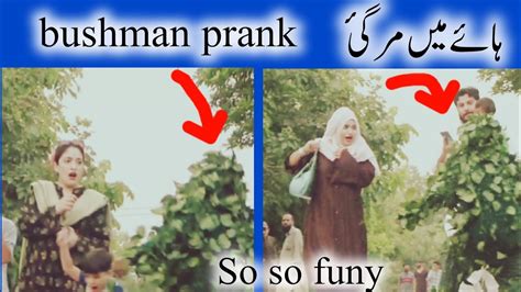 Bushman Prank Funny Dangerous Video Youtube